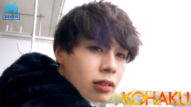 KO-SHOP 大阪店 / 商品詳細